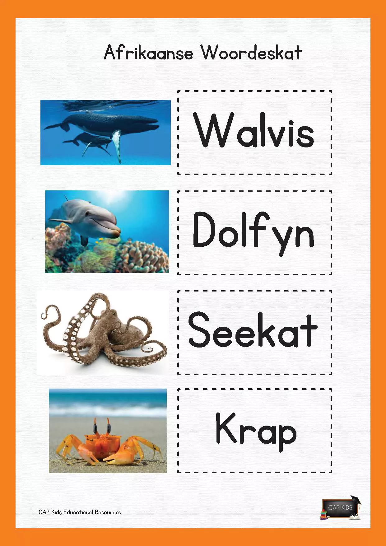 Afrikaanse Woordeskat See Diere - CAPKidsPro